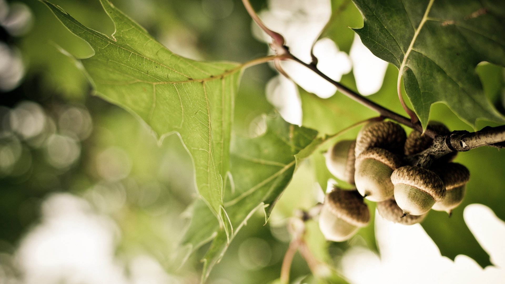 FreeRTOS(2)-任务 - Ysc Web